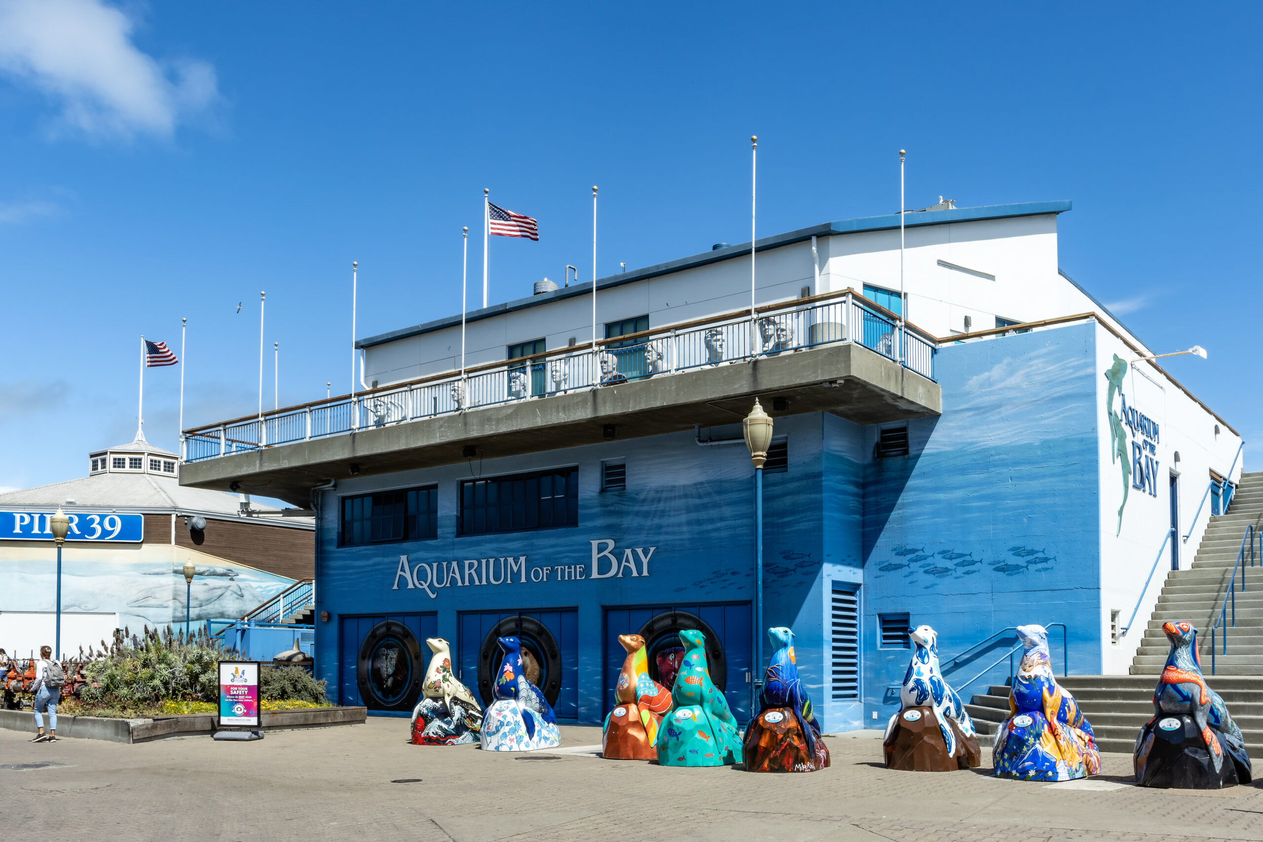 Aquarium of the Bay, a public aquarium at Pier 39, is focused on local ...