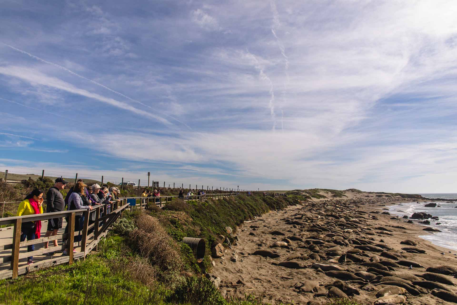 Elephant Seal Vista Point – Motorhome Trips