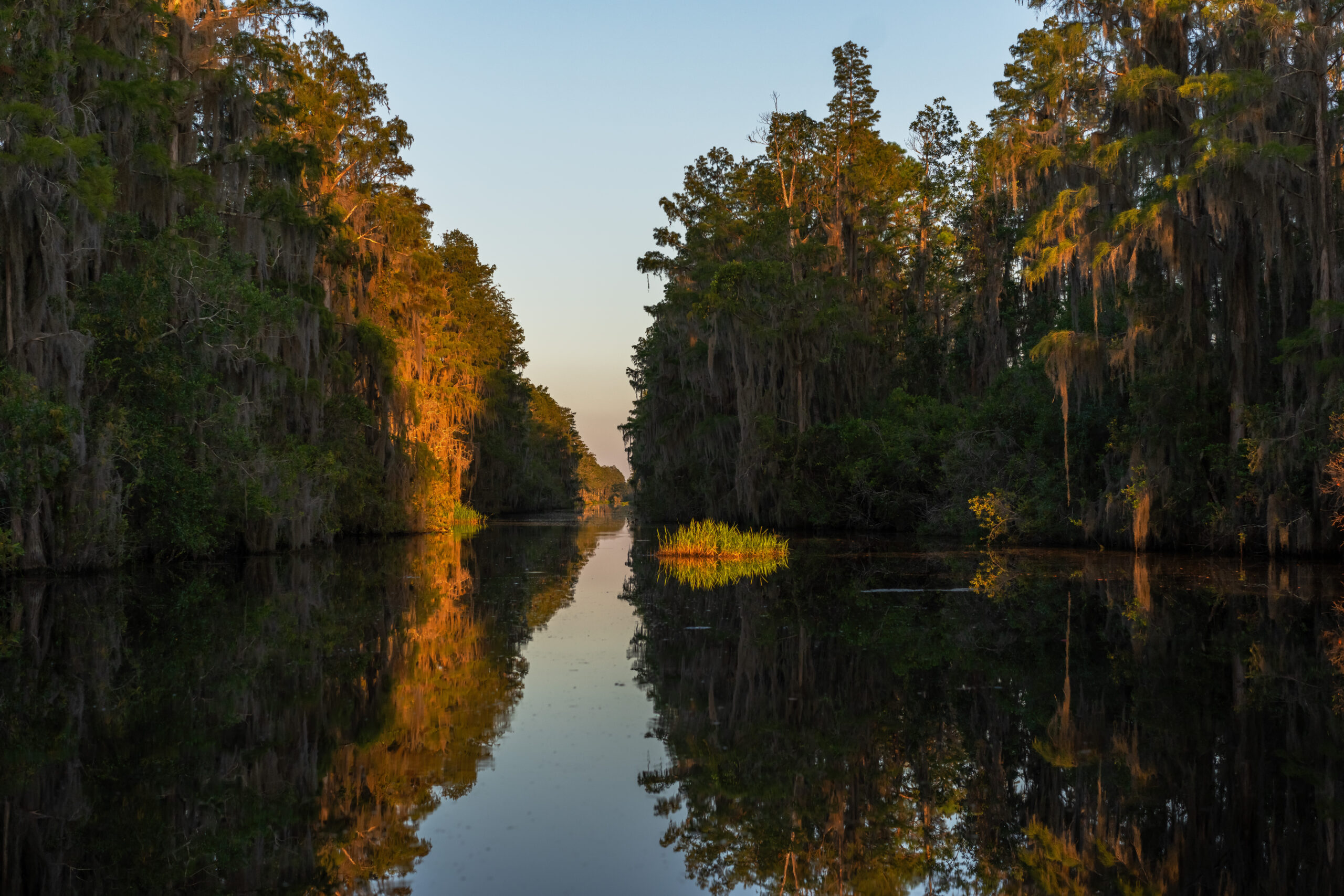 Okefenokee Swamp, near Folkston, Georgia – Motorhome Trips